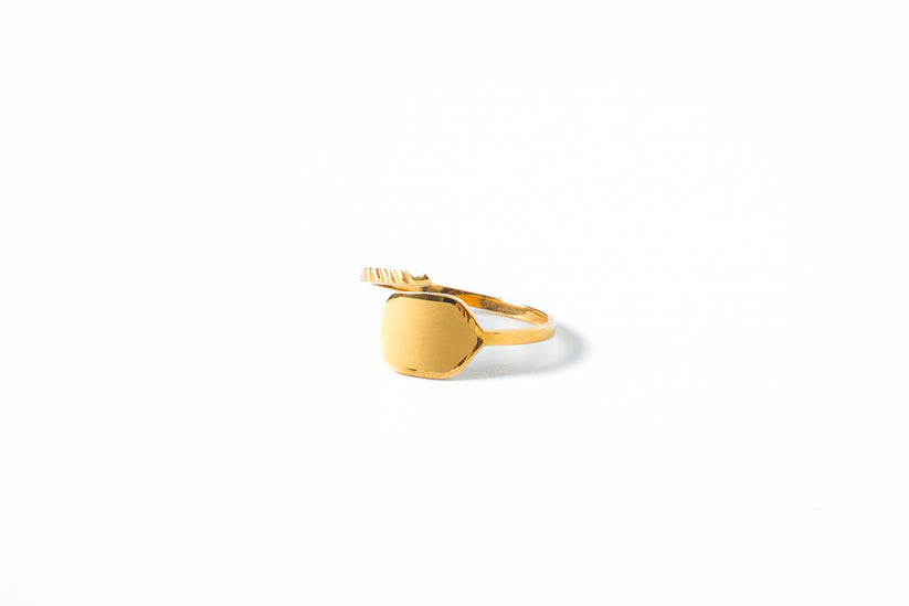 Pickleball Ring - The Replay Ring - Pickleball jewelry – The Dainty Dinker